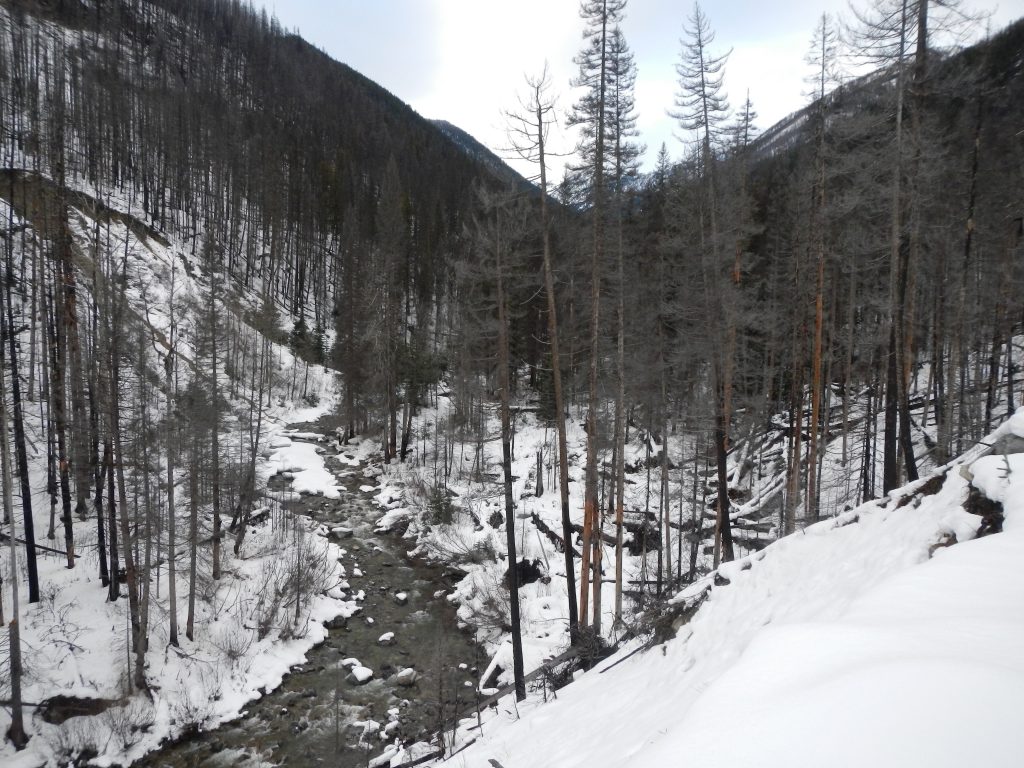 Stein Valley Park Guide – IntoCascadia