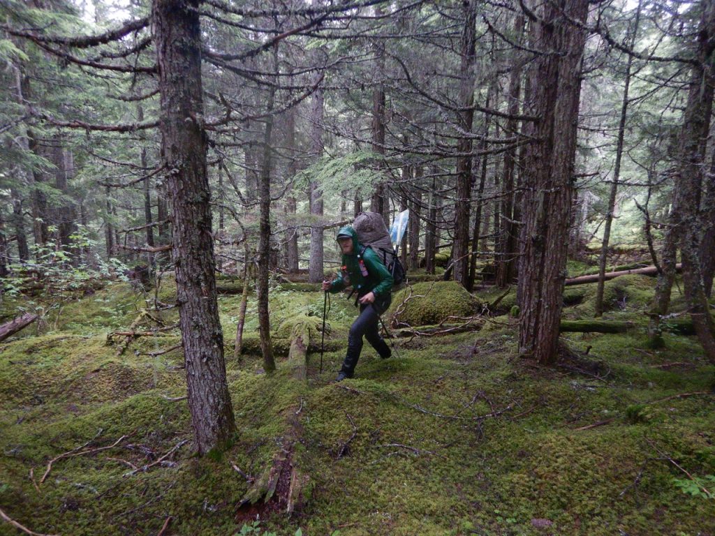 Raush-Clearwater Packraft Traverse – IntoCascadia